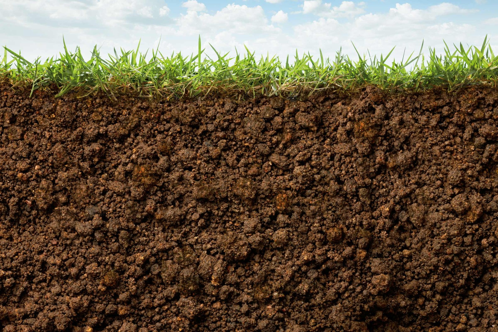 Amélioration du sol dans le jardin | HORNBACH Luxembourg