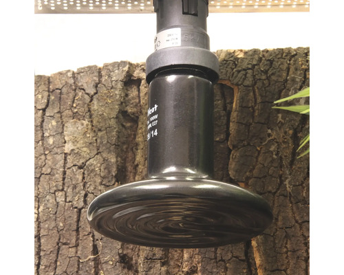 Radiateur céramique pour terrarium JBL Reptilheat 100 W - HORNBACH ...